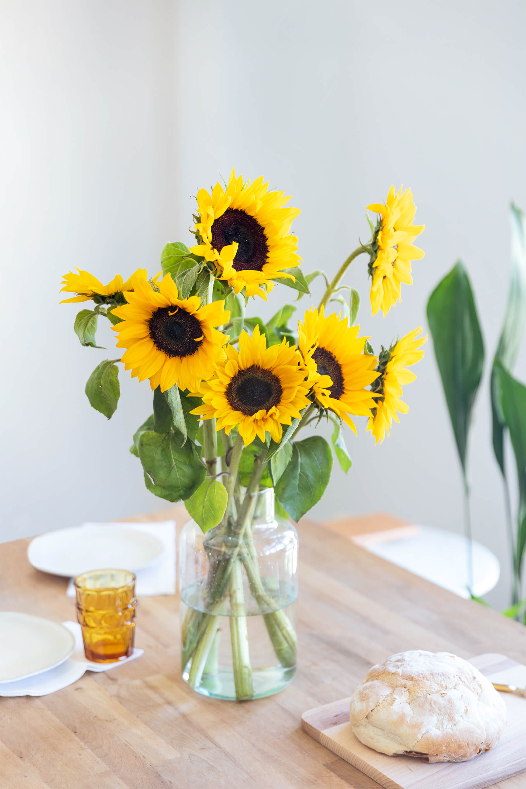 Comprar ramos de flores online | Colvin