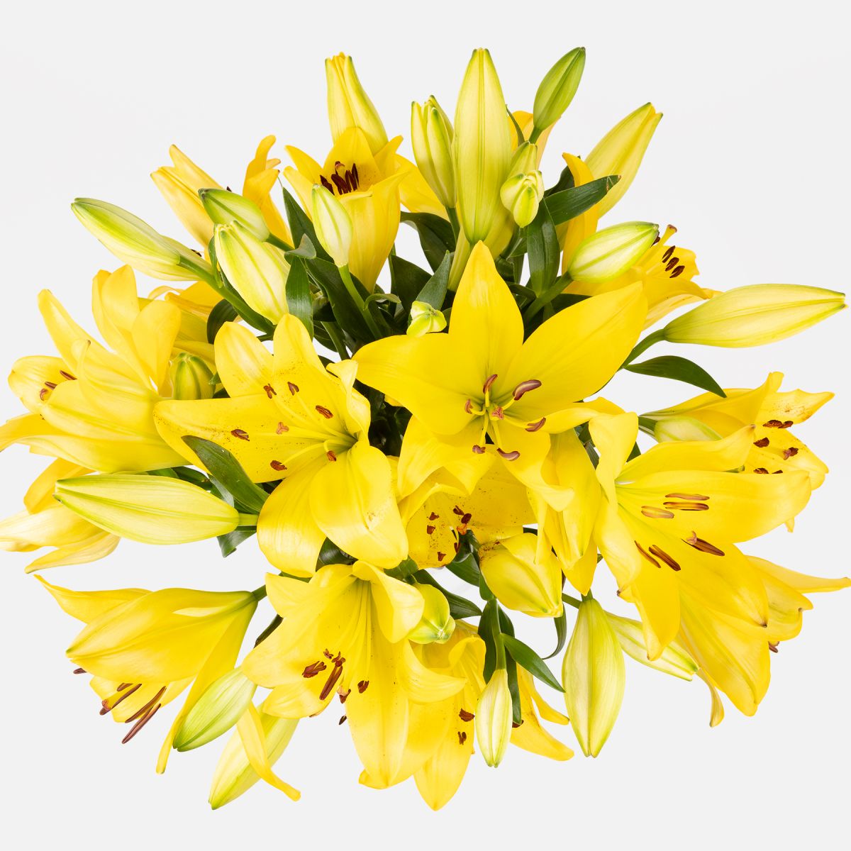 Ramo de Lirios Amarillos - Good Luck | Colvin España