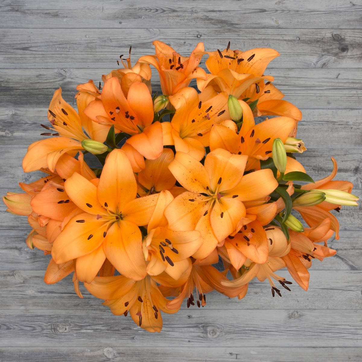 Honesty Deluxe - Ramo de flores con Lilium Oriental | Colvin España