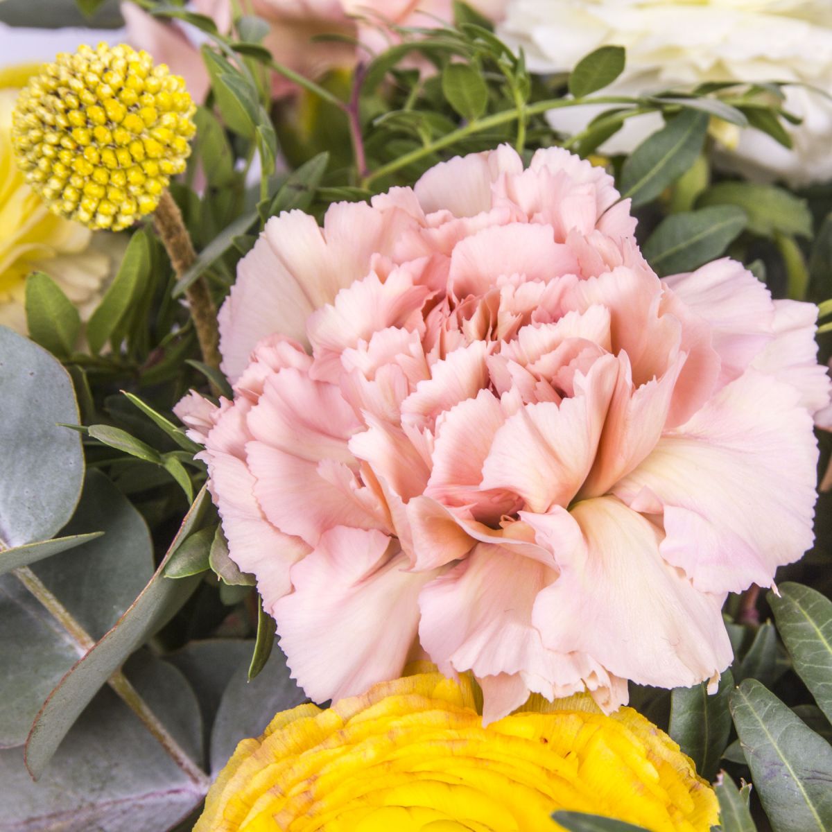 Floristería Online con envío gratis | Colvin