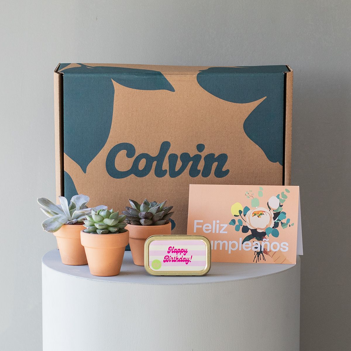 Pack Cumple: Mini plantas con Vela y Tarjeta | Colvin España