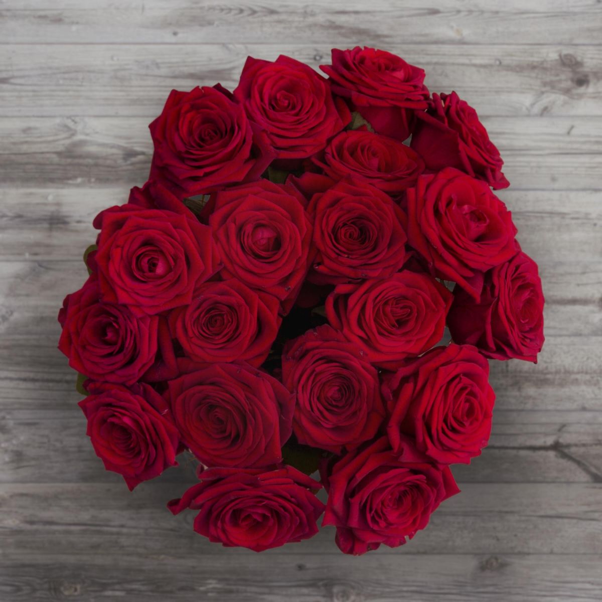 Floristería Online con envío gratis | Colvin