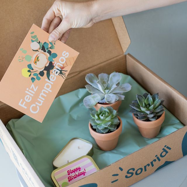 Pack Cumple: Mini plantas con Vela y Tarjeta | Colvin España